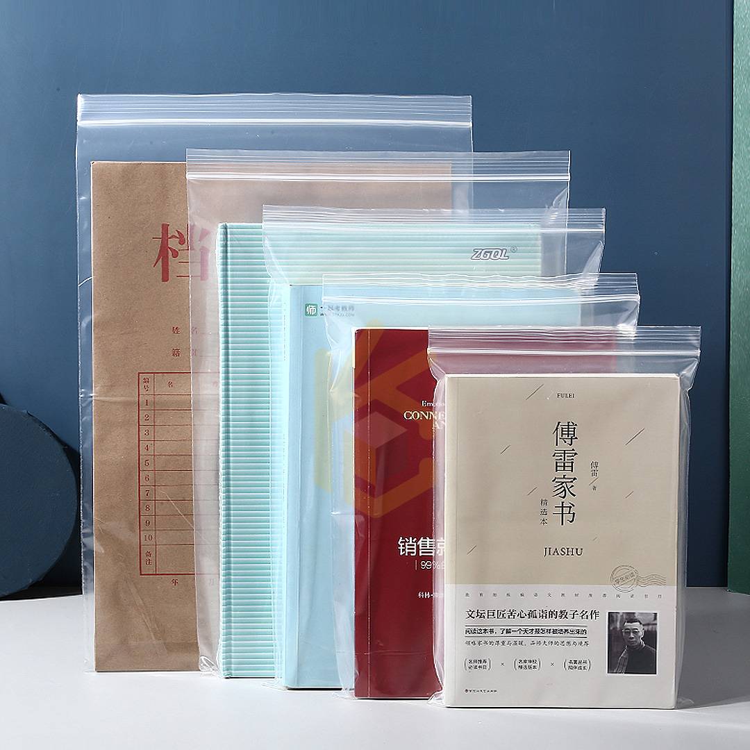 Zip Lock Plastic Bag (14 sizes) - 100pcs/Pack